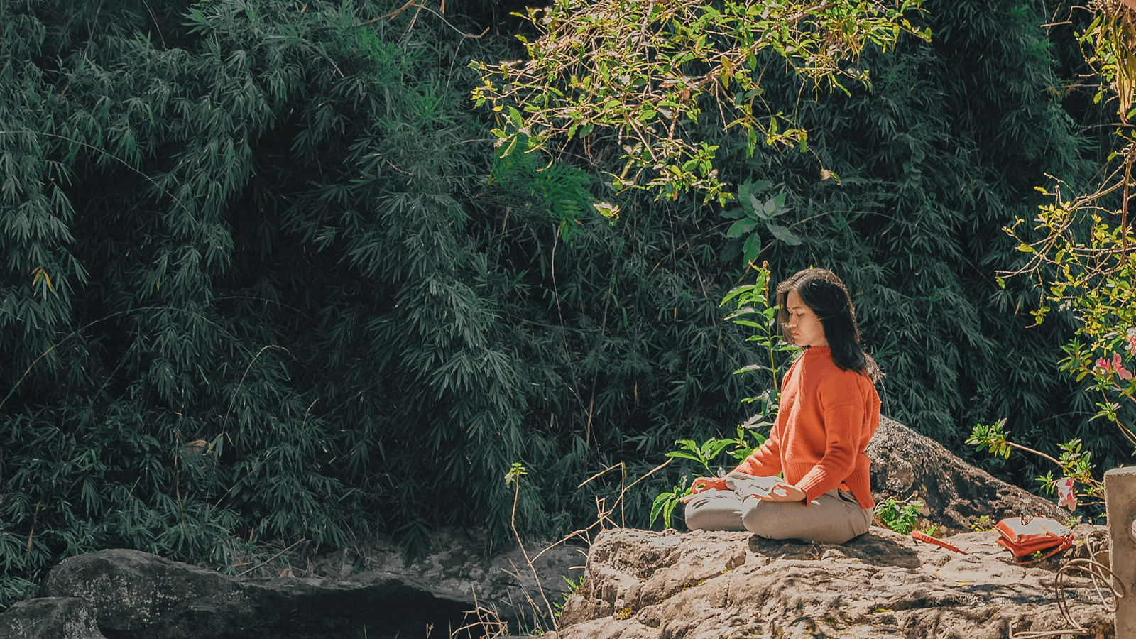 Thiền là gì? Các lợi ích và lưu ý khi ngồi thiền - Ngủ Ngon Sống Trọn